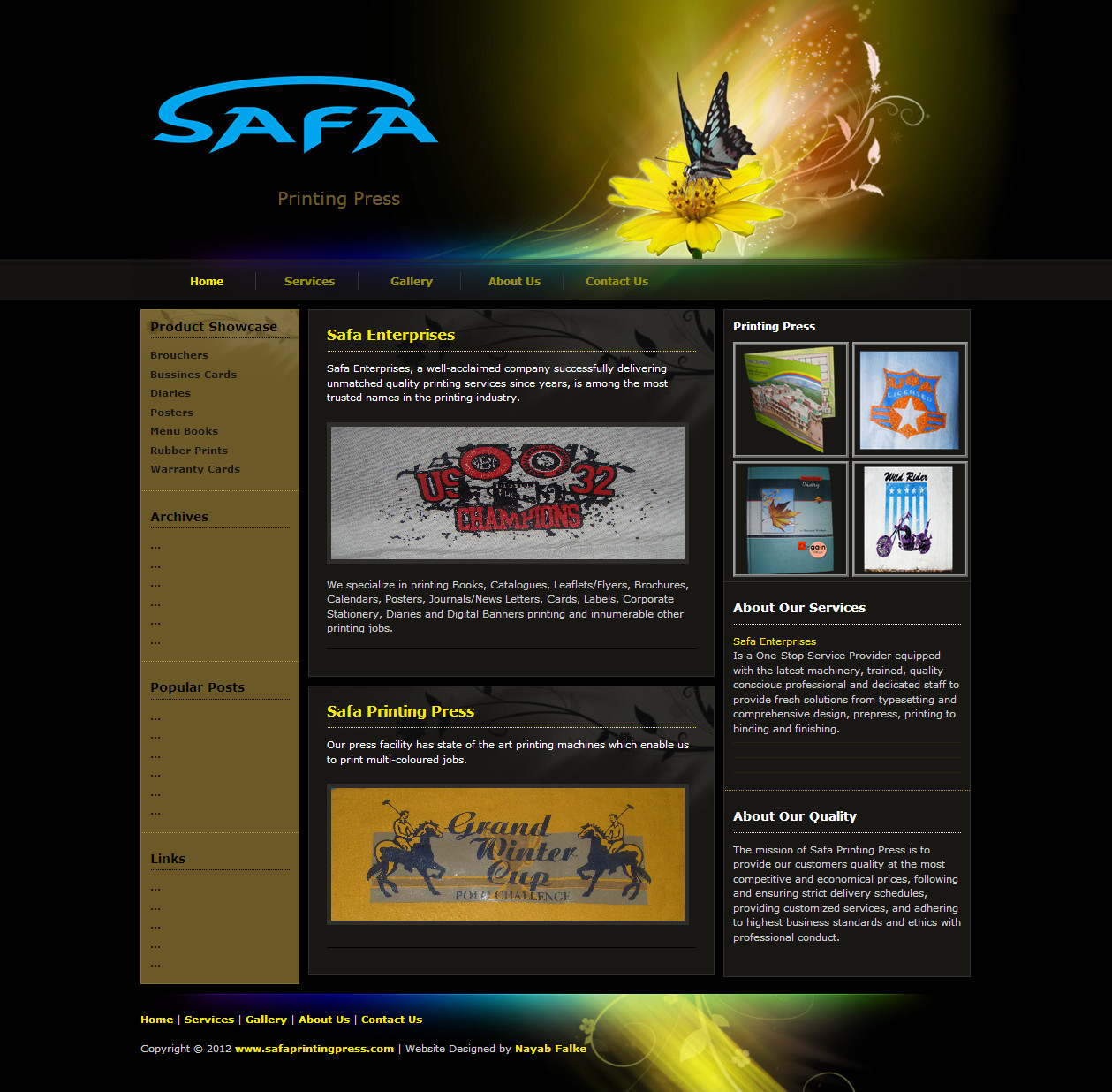 Nayab Falke-IT Professional Profile